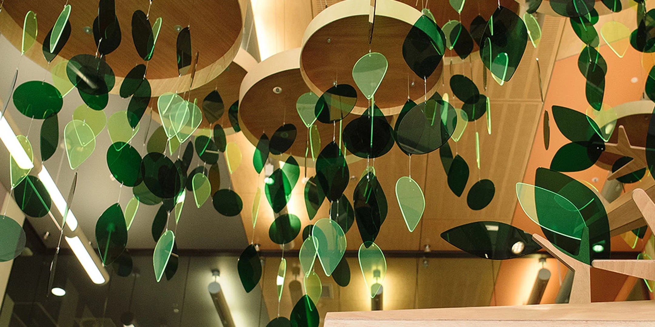 QLD Children's Hospital